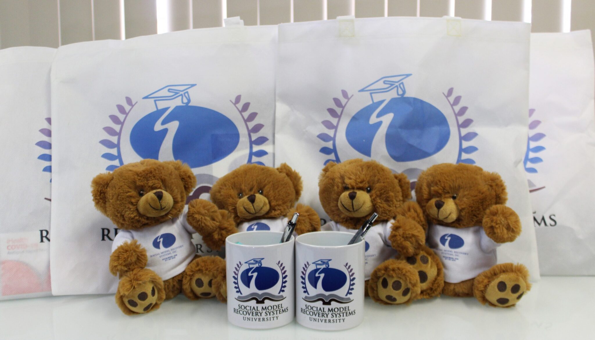 Employee Onboarding Program Launch - Social Model Recovery Systems