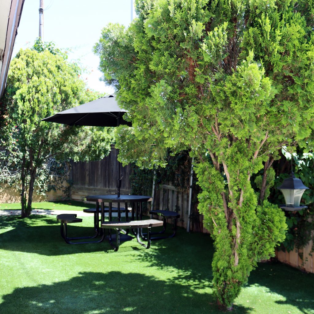 Newsletter: Mariposa and Stepping Stones - Social Model Recovery Systems