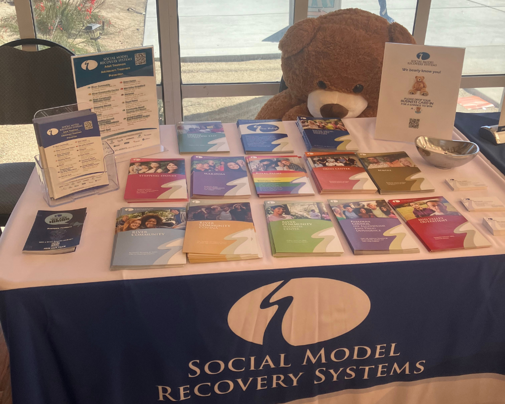 It Happens to Boys Conference - Social Model Recovery Systems